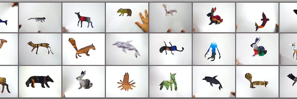 Animal Cutouts | Chilwell Croft Academy
